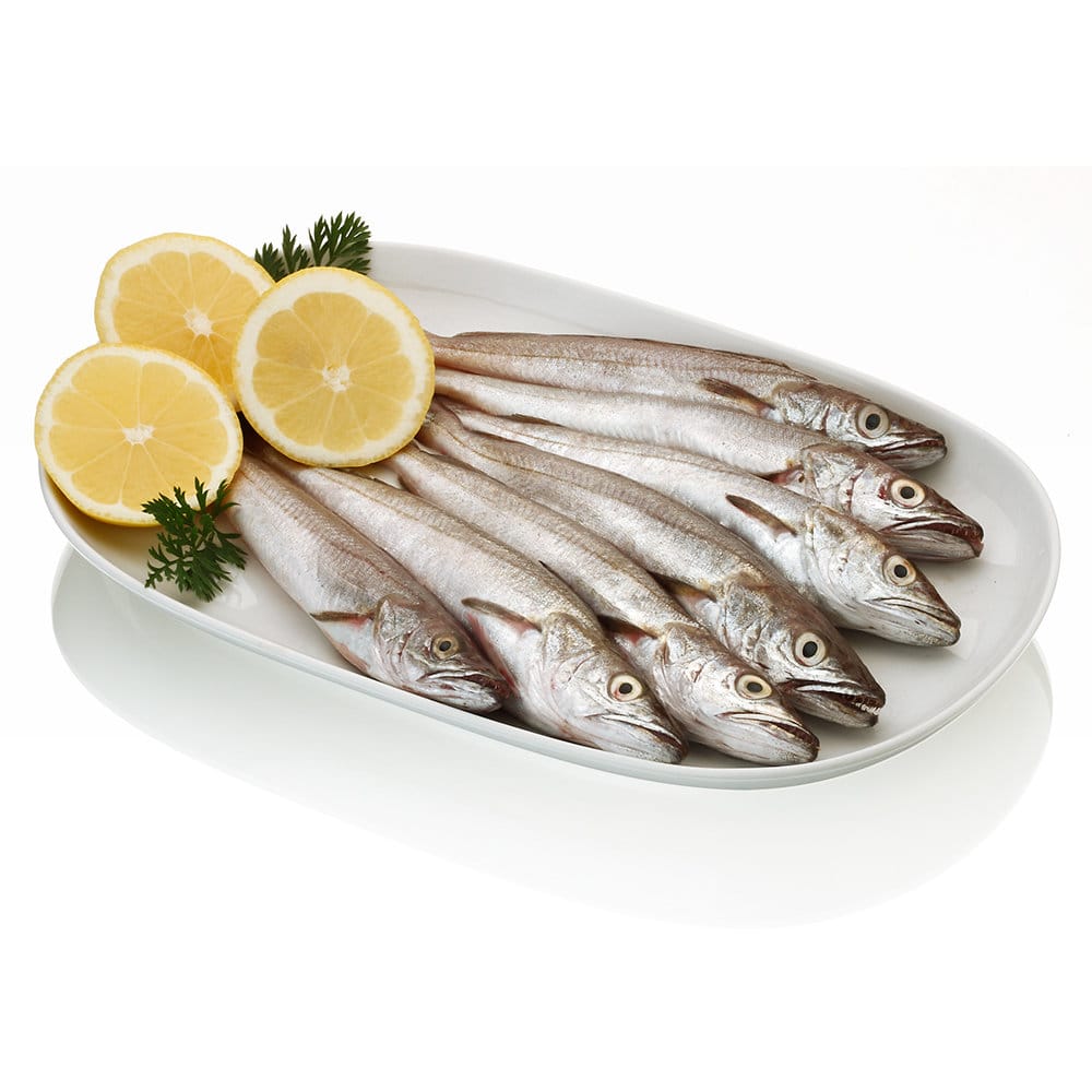 PIJOTA (CARIOCA) - Aqualund